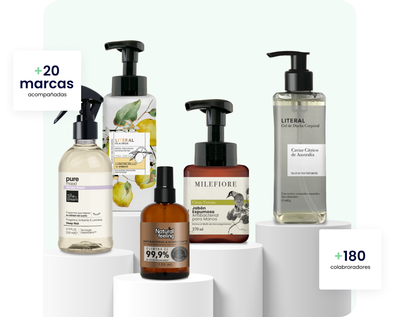 Líderes en desarrollo de productos | Conócenos